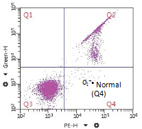 Sperm Reactive Oxygen Species DHE Staining Kit For ROS Flow Cytometry