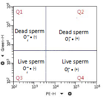 Sperm Reactive Oxygen Species DHE Staining Kit For ROS Flow Cytometry