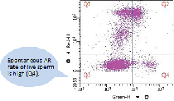 Sperm Flow Cytometry Kits PNA-FITC Probe Cytometry Sperm Acrosome ...