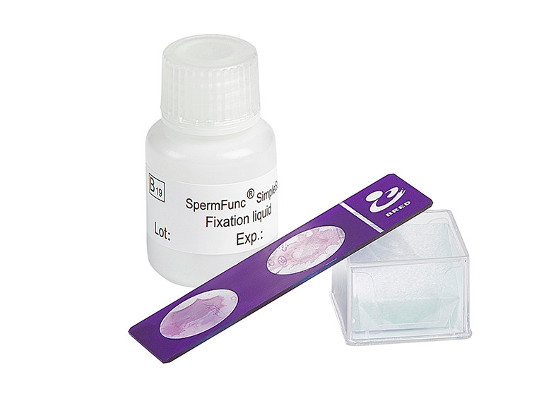 Blood Cell Morphology Test Pre Stained Slides